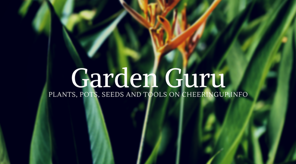 Garden Guru Magazine CheeringupInfo Gardening Tips Review UK ...
